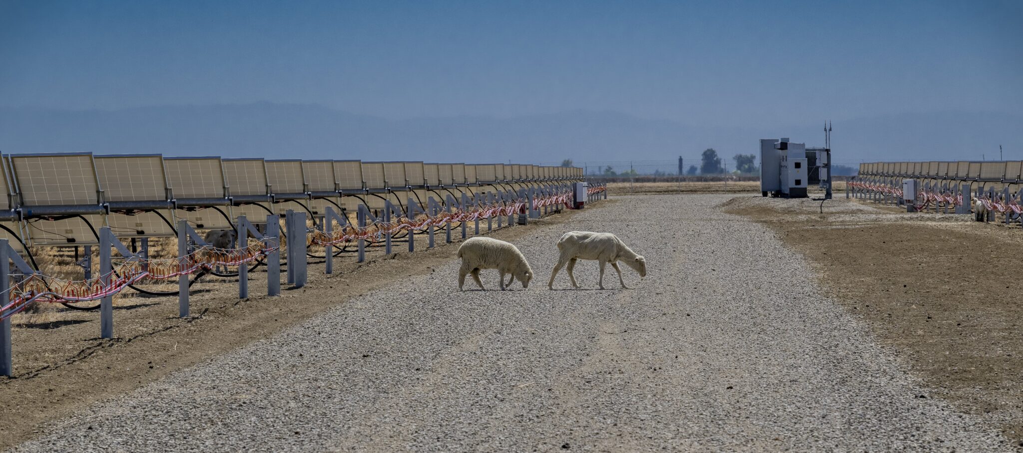 Managing Stormwater at Utility-Scale Solar Sites | Kimley-Horn Managing Stormwater at Utility-Scale Solar Sites | Kimley-Horn