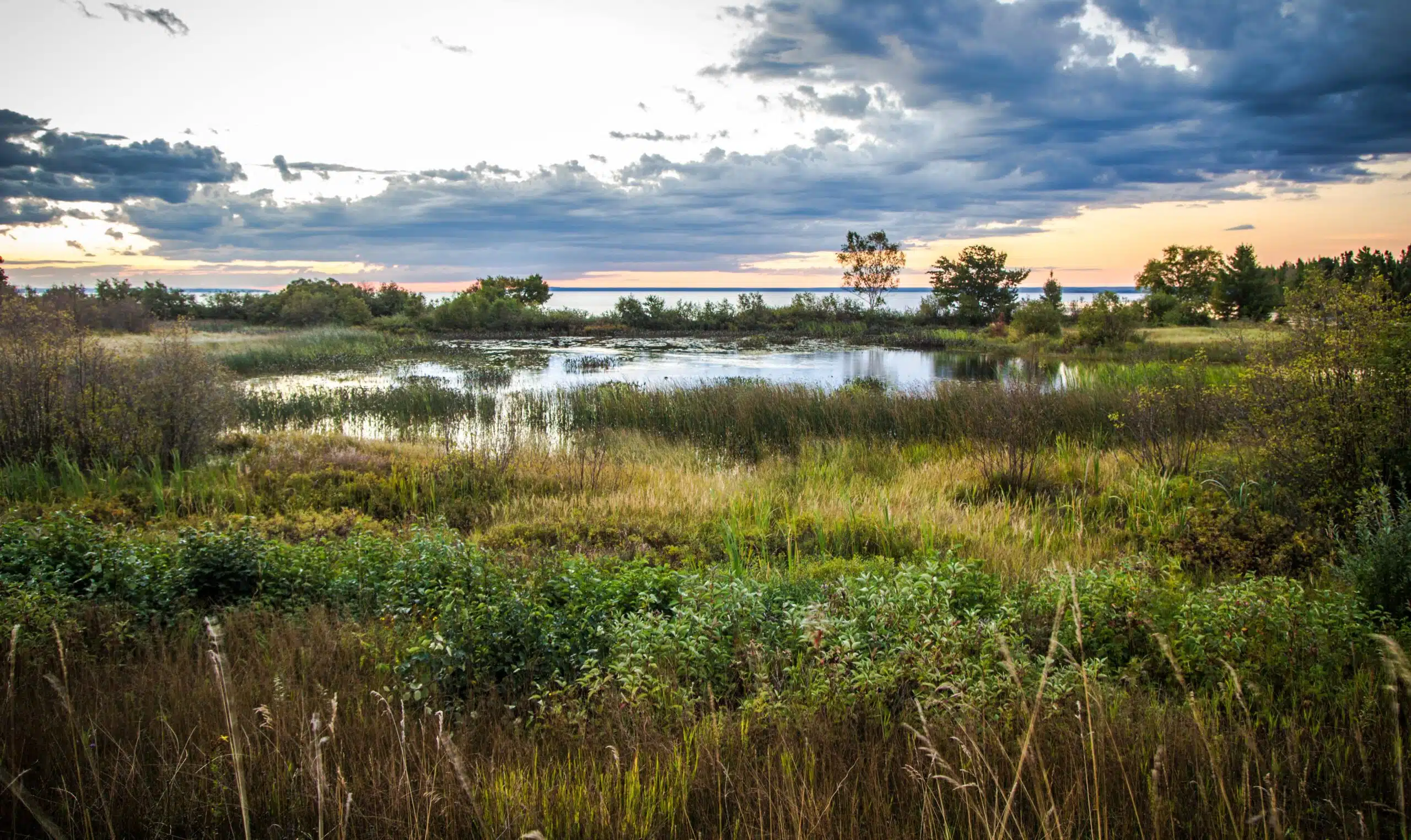 What’s New for US Wetlands after the Continuous Surface Connection ...